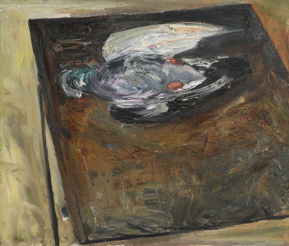 Seán Fingleton | Pigeon | MutualArt