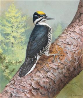 David Morrison Reid Henry | Kingfisher | MutualArt