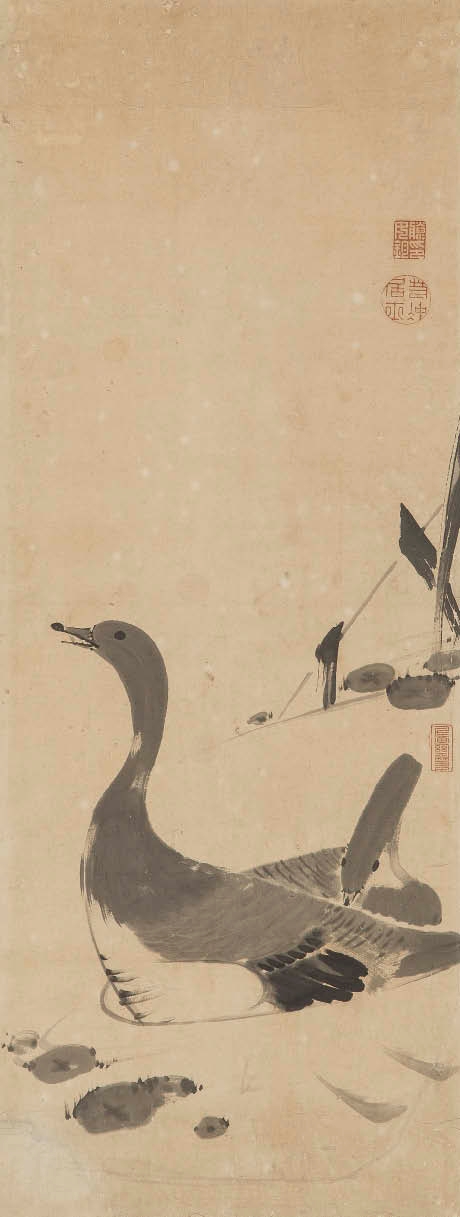 Ito Jakuchu | Bird | MutualArt