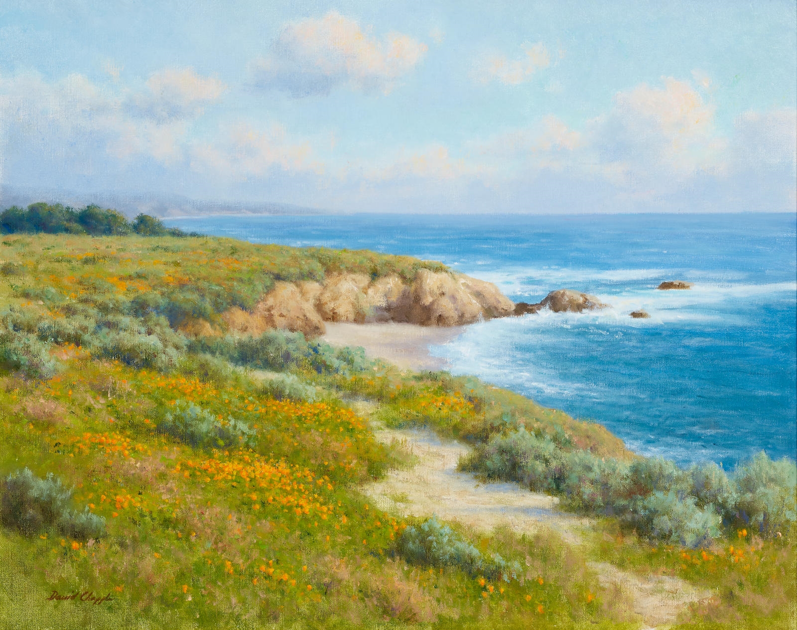 David Chapple | California Poppies | MutualArt