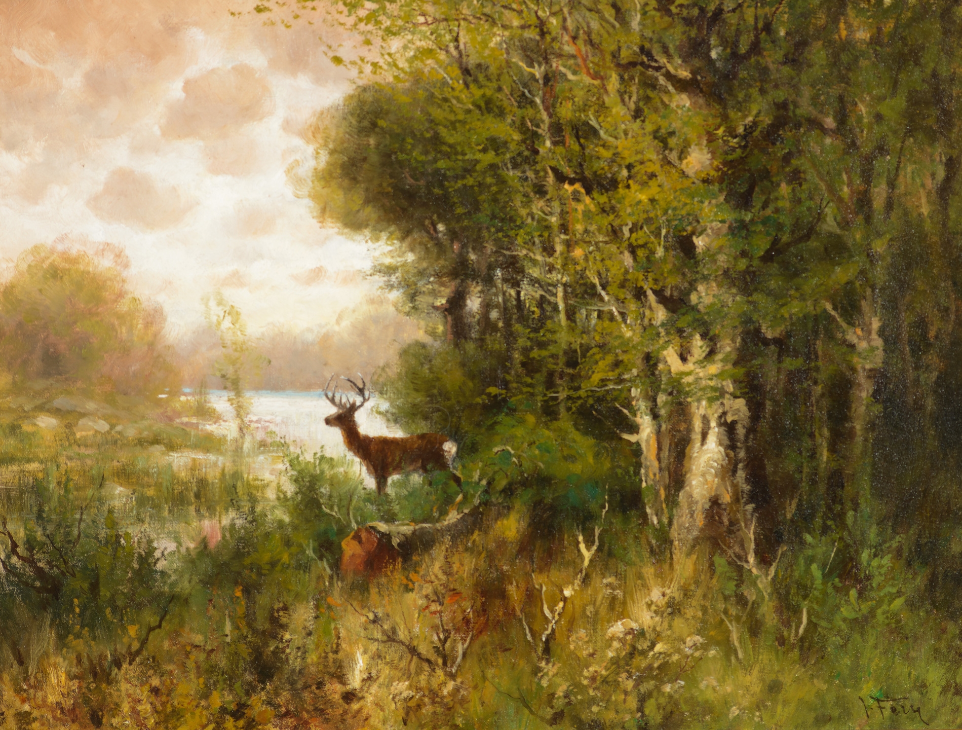 John Fery | Deer in Forest | MutualArt