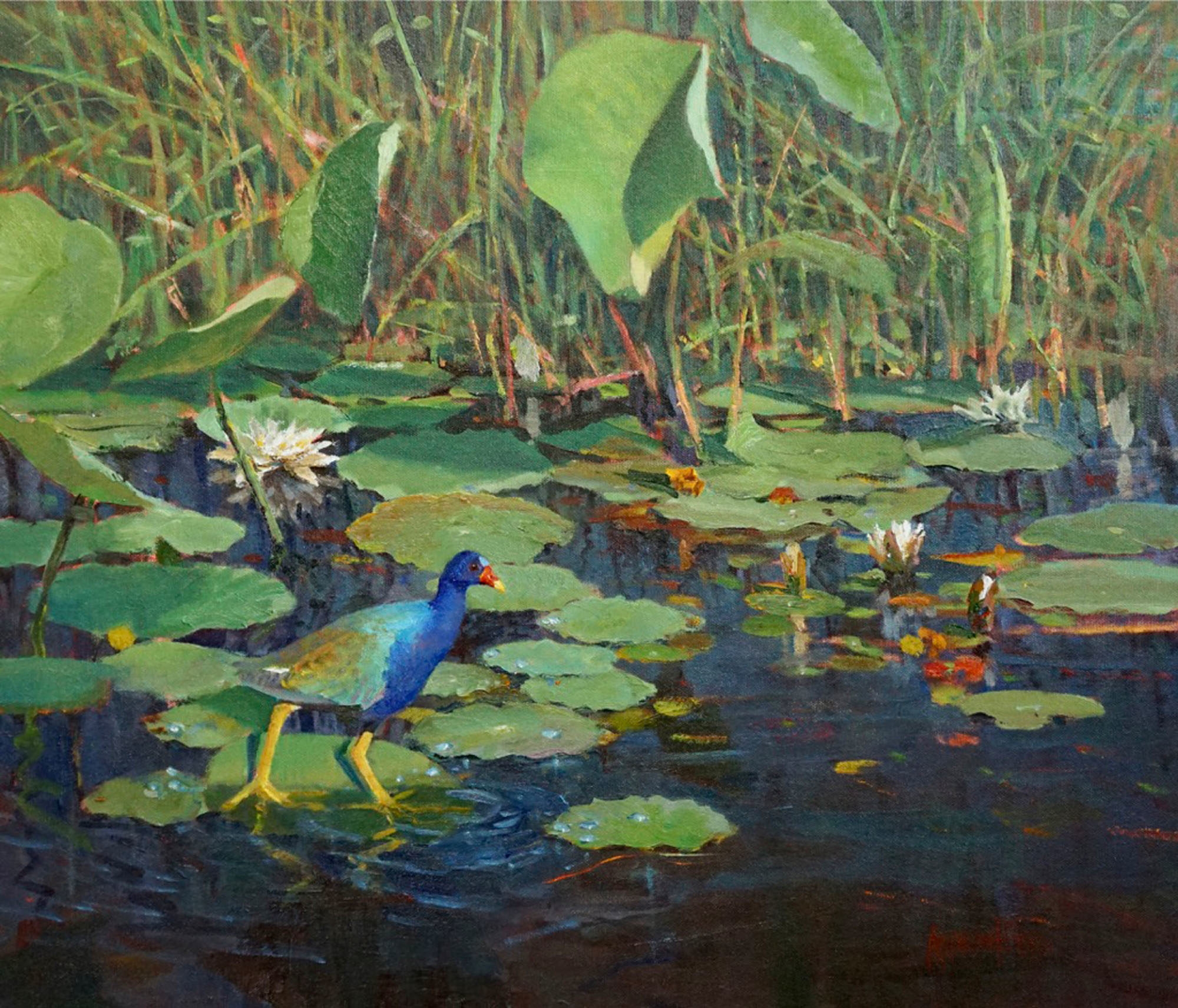 Andrew Peters | Treading Lightly | MutualArt