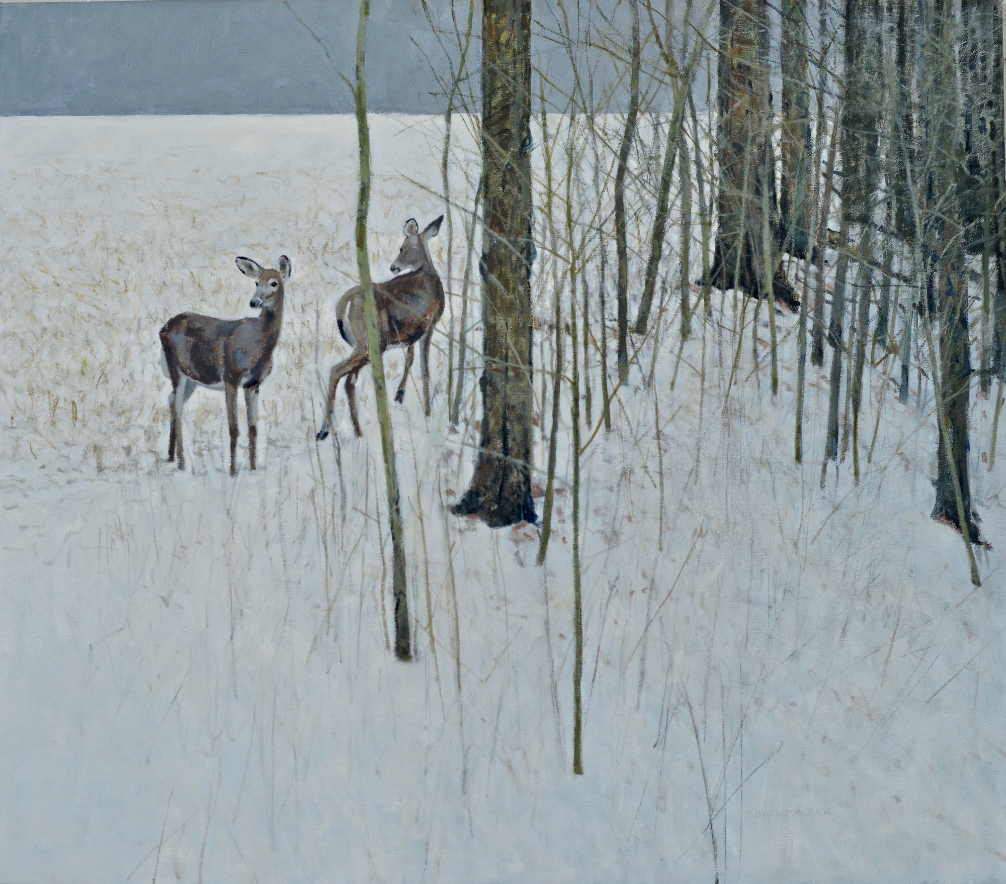 Ron Kingswood | Head Lands ― White-tailed Deer | MutualArt