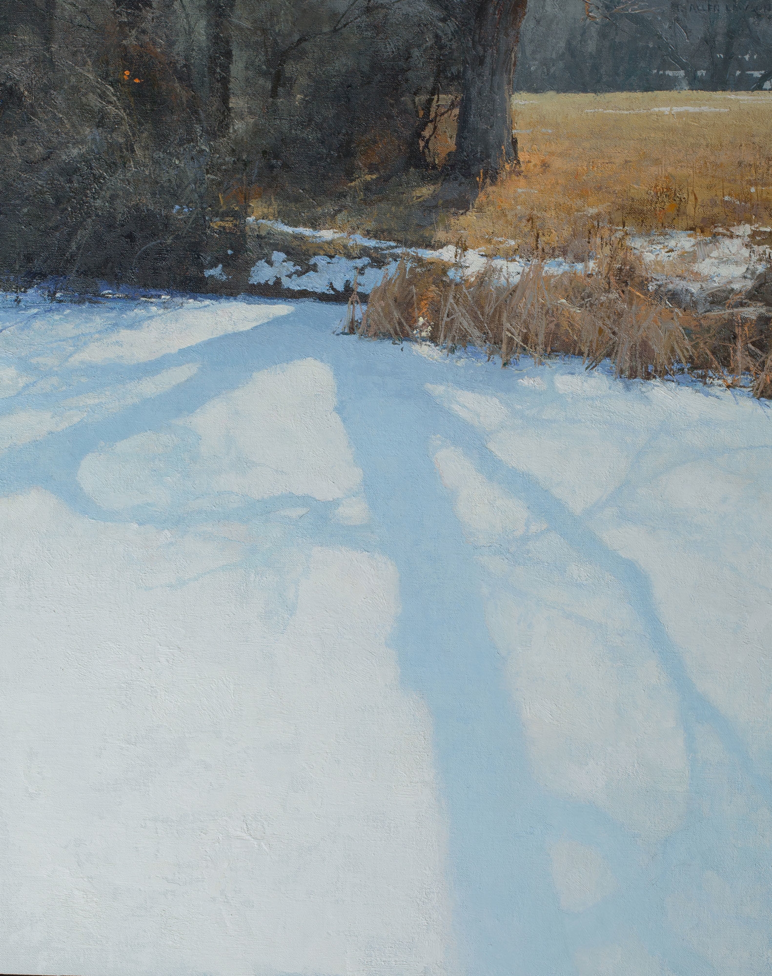 Tim Allen Lawson | Ice Capades | MutualArt