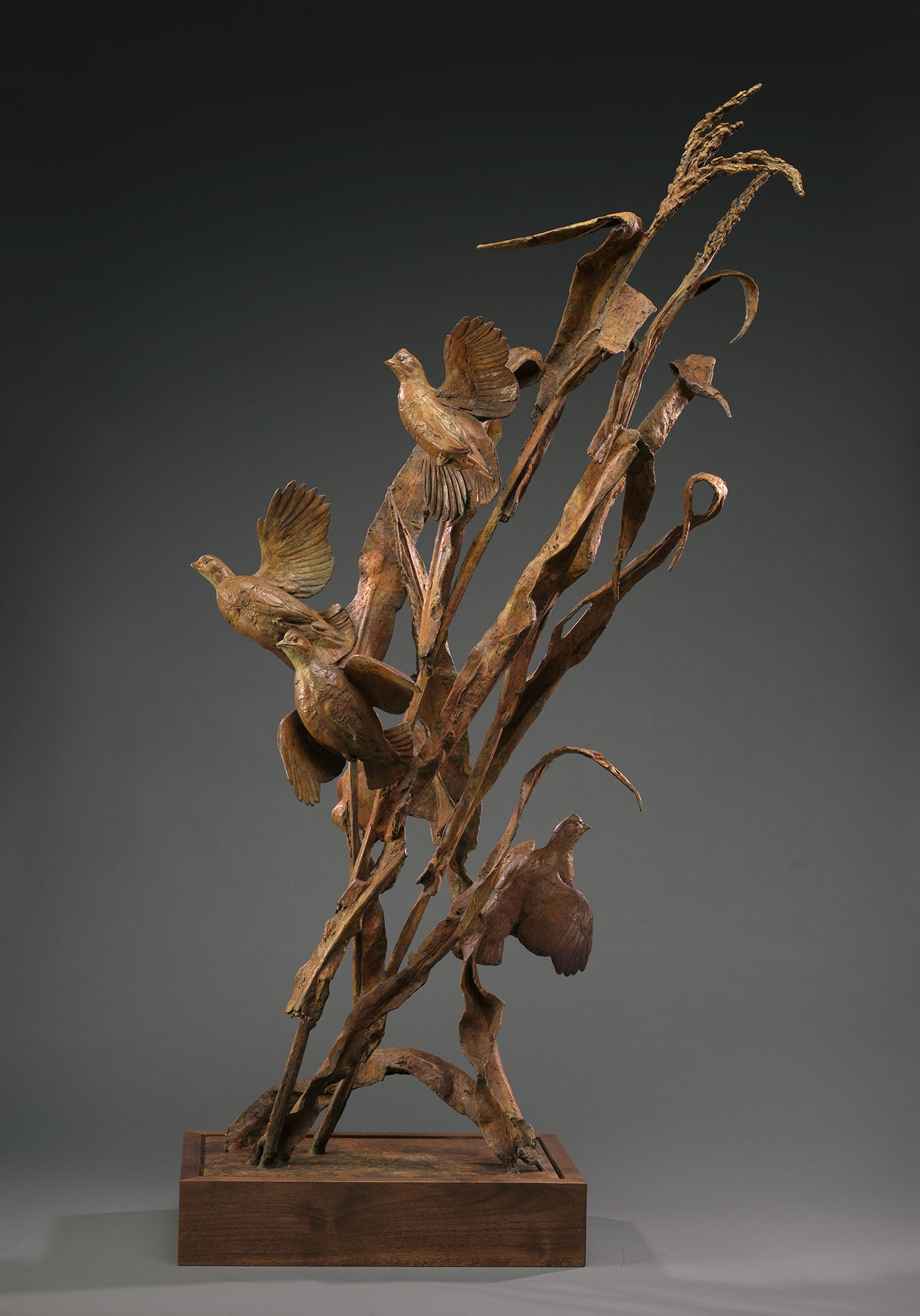 Walter Matia | Corn Flowers | MutualArt