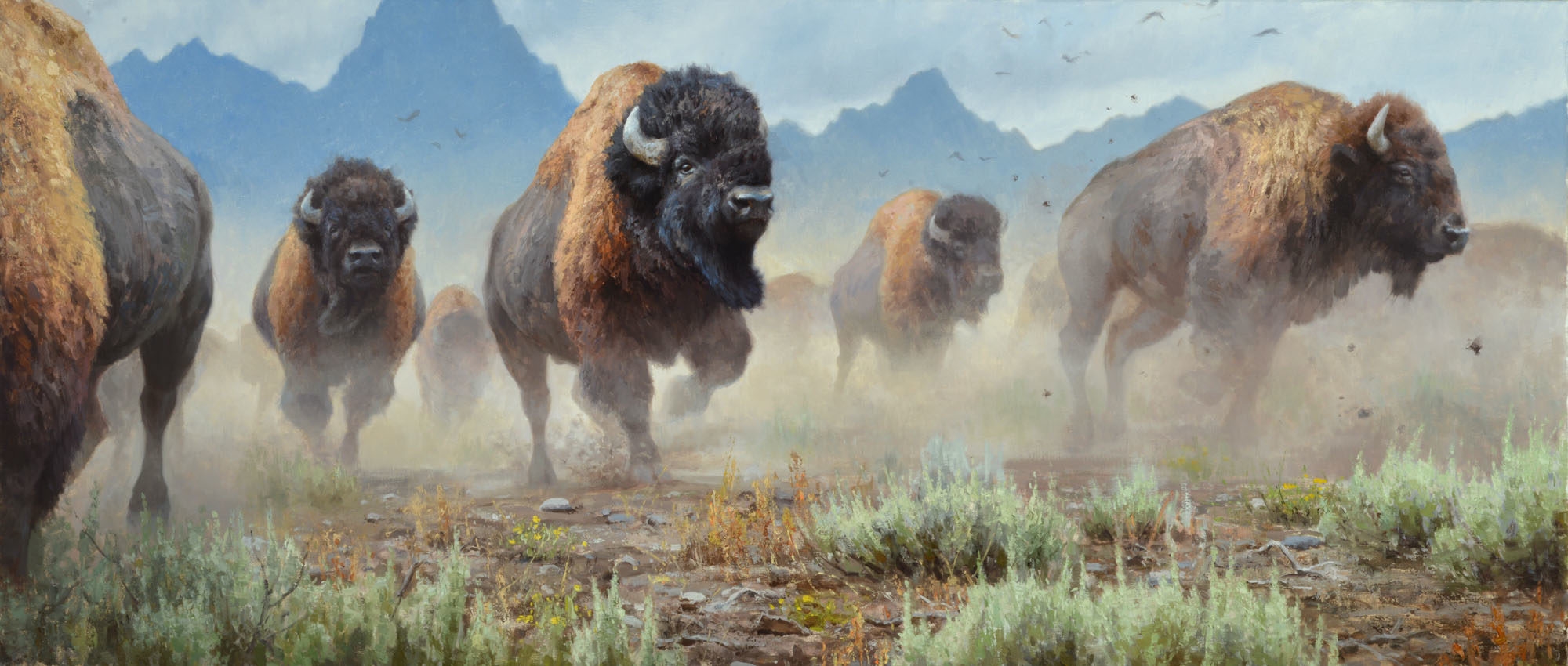 Kyle Sims | A Gopher’s Eye View | MutualArt