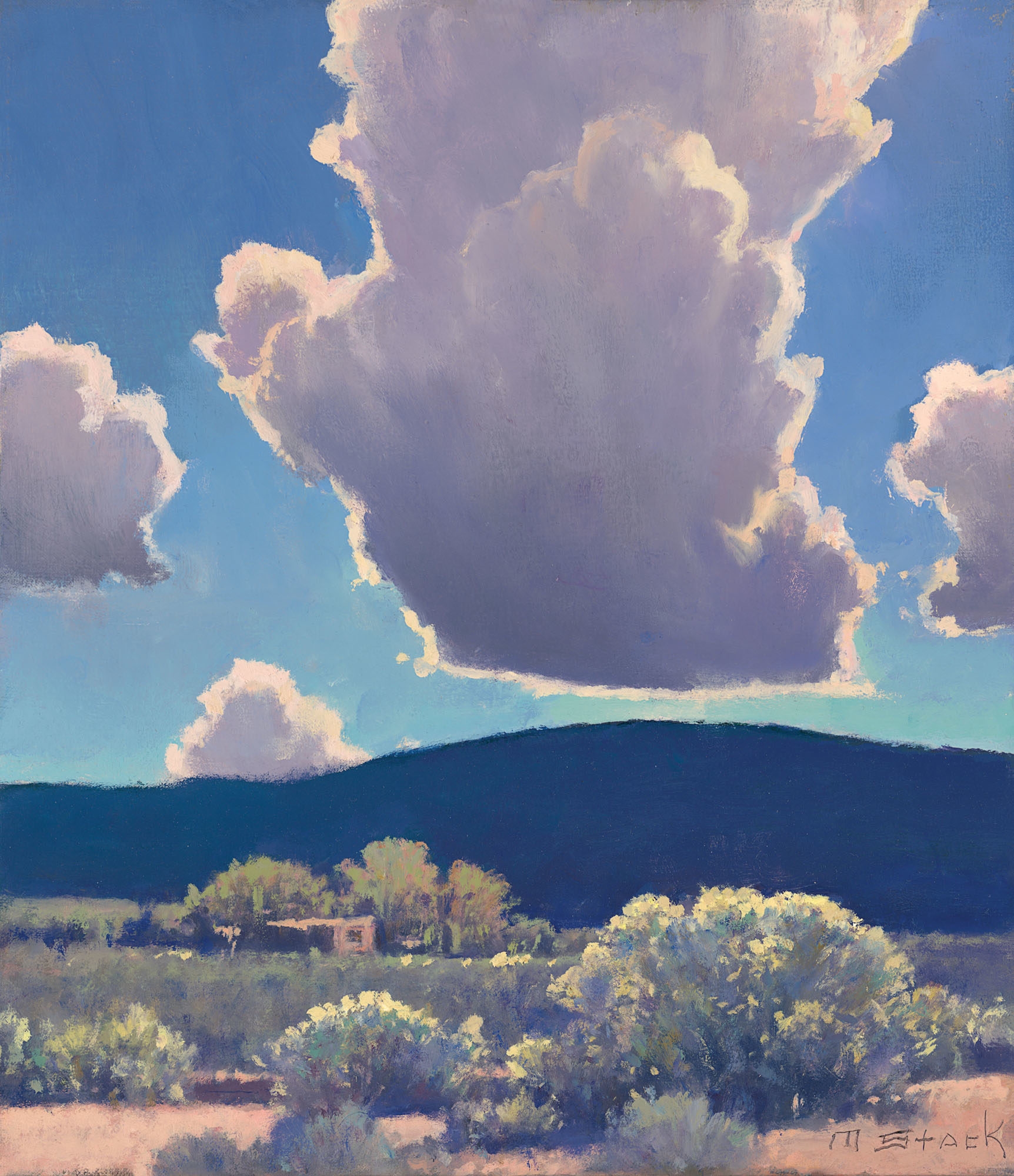 Michael Stack | After the Monsoons | MutualArt