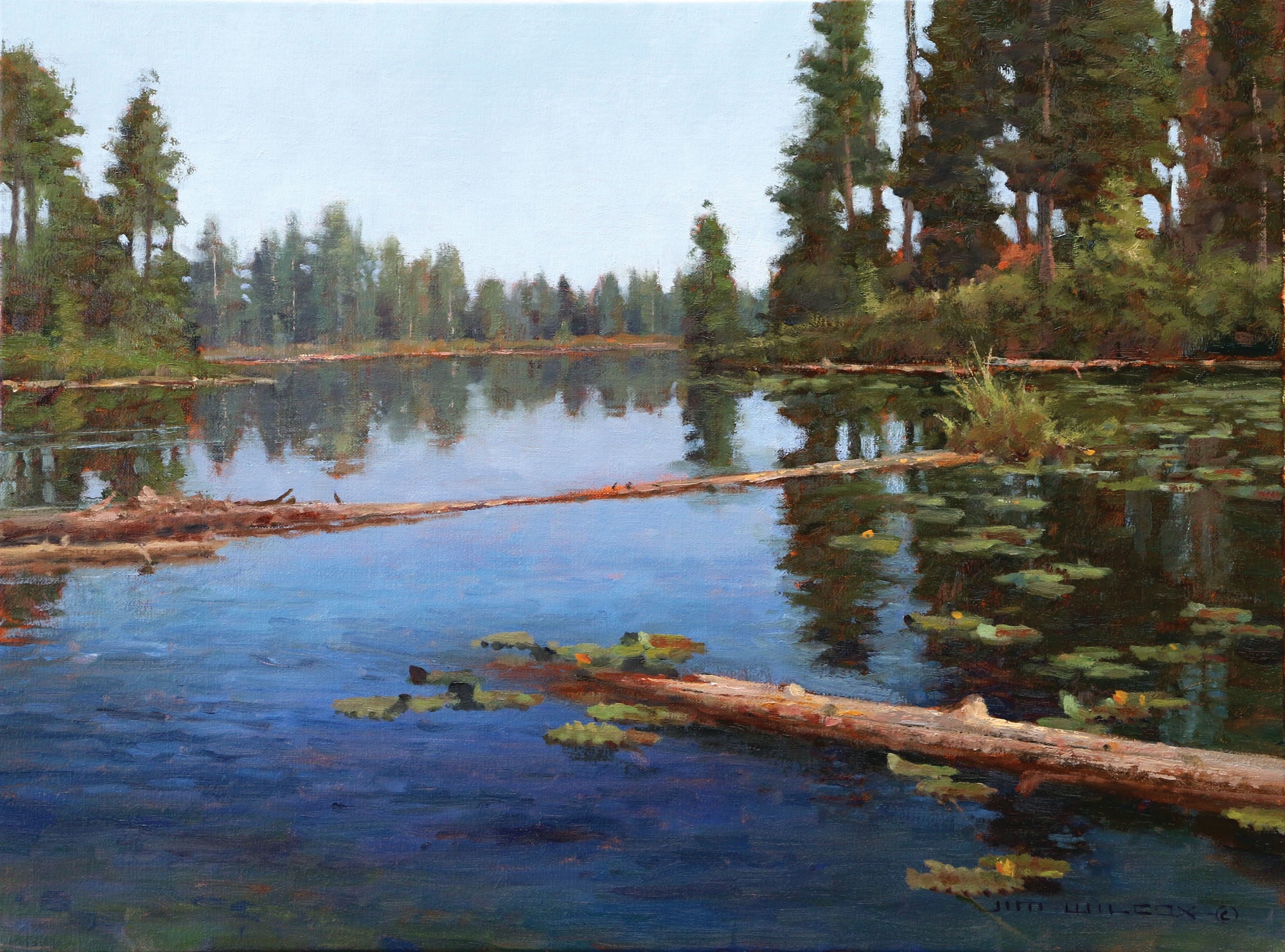 Jim Wilcox | Changing Seasons | MutualArt