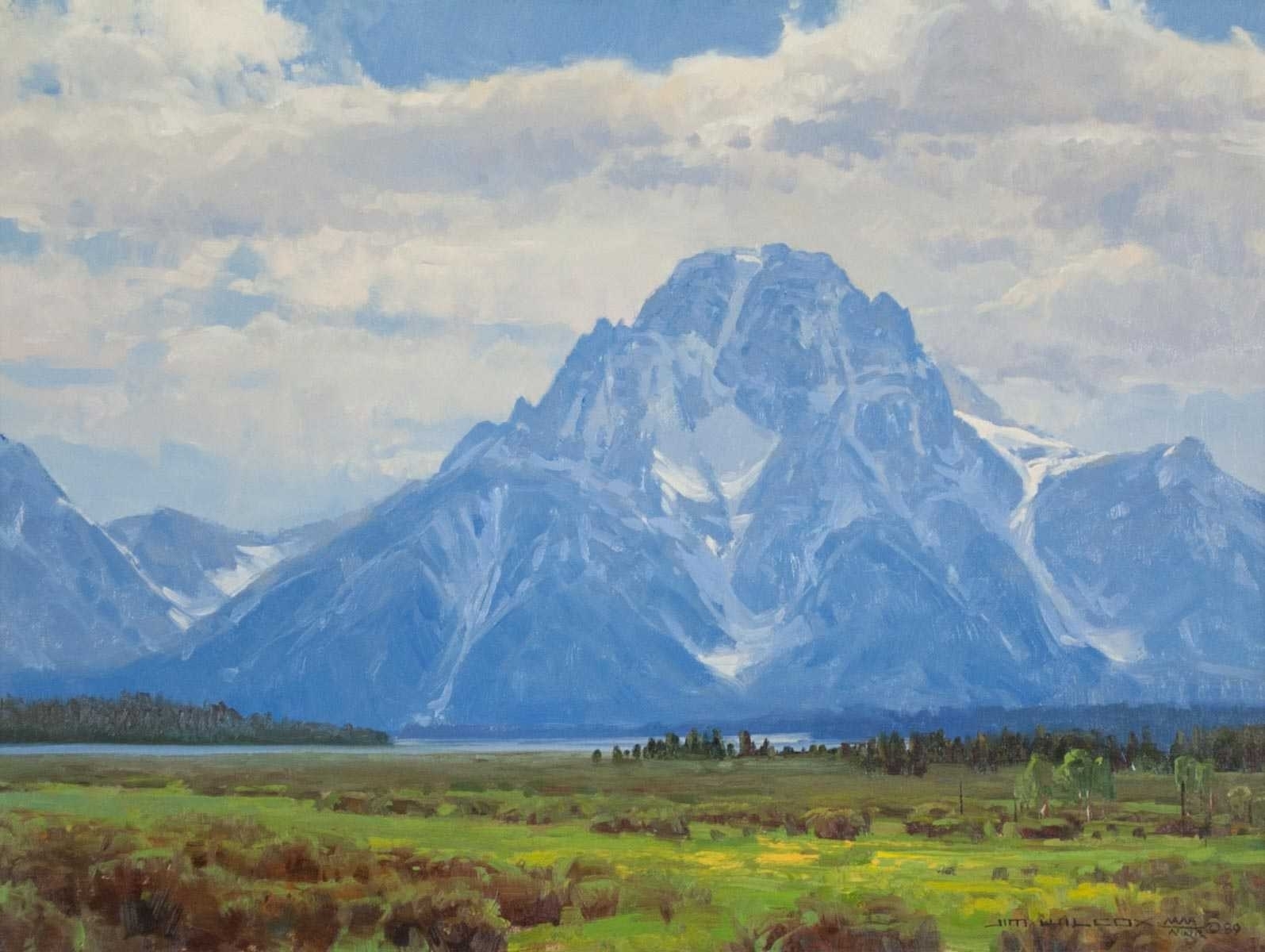 Jim Wilcox | Mount Moran | MutualArt
