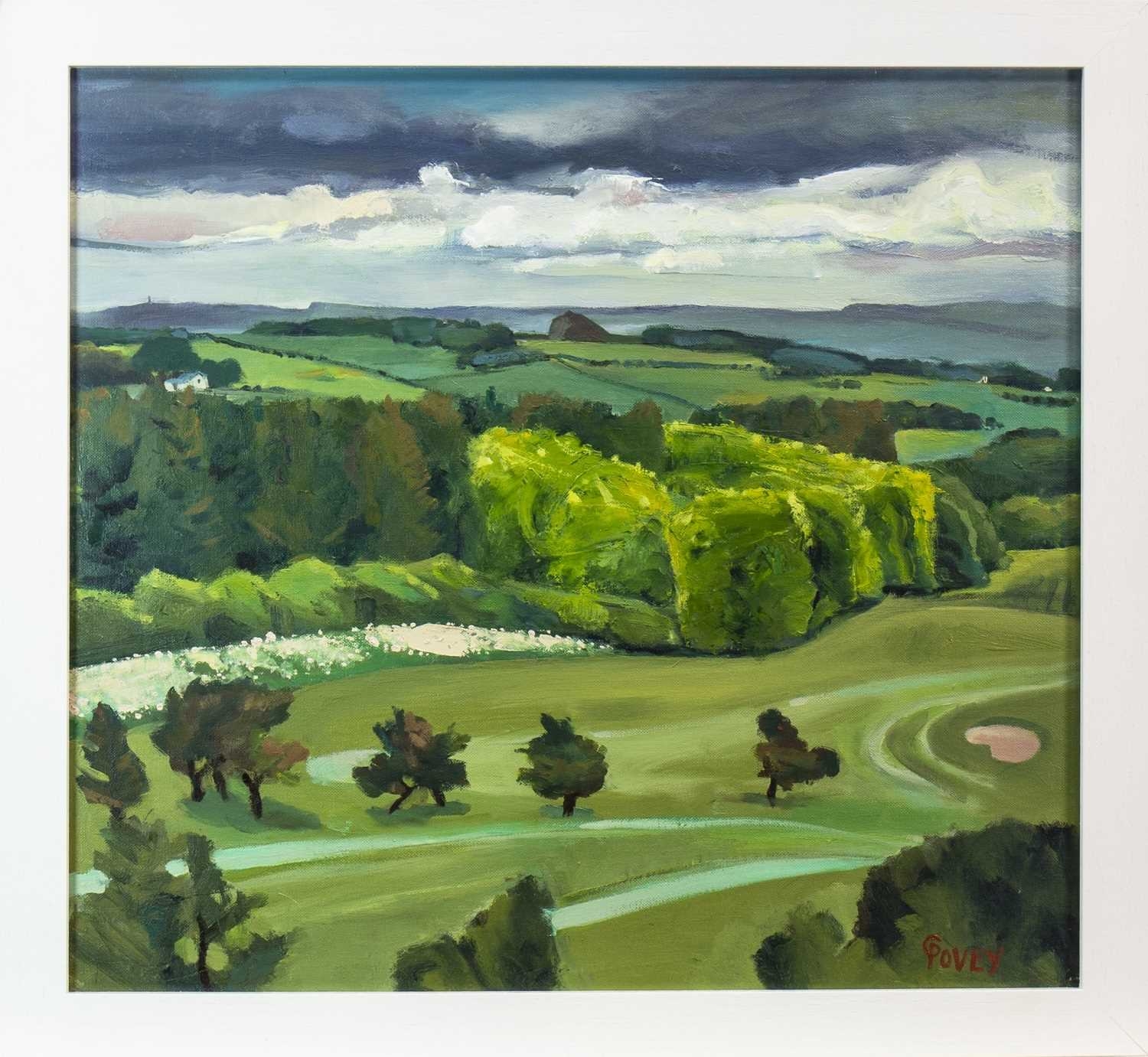 Colin Povey | BINNY CRAIG FROM DEER PARK GOLF COURSE | MutualArt