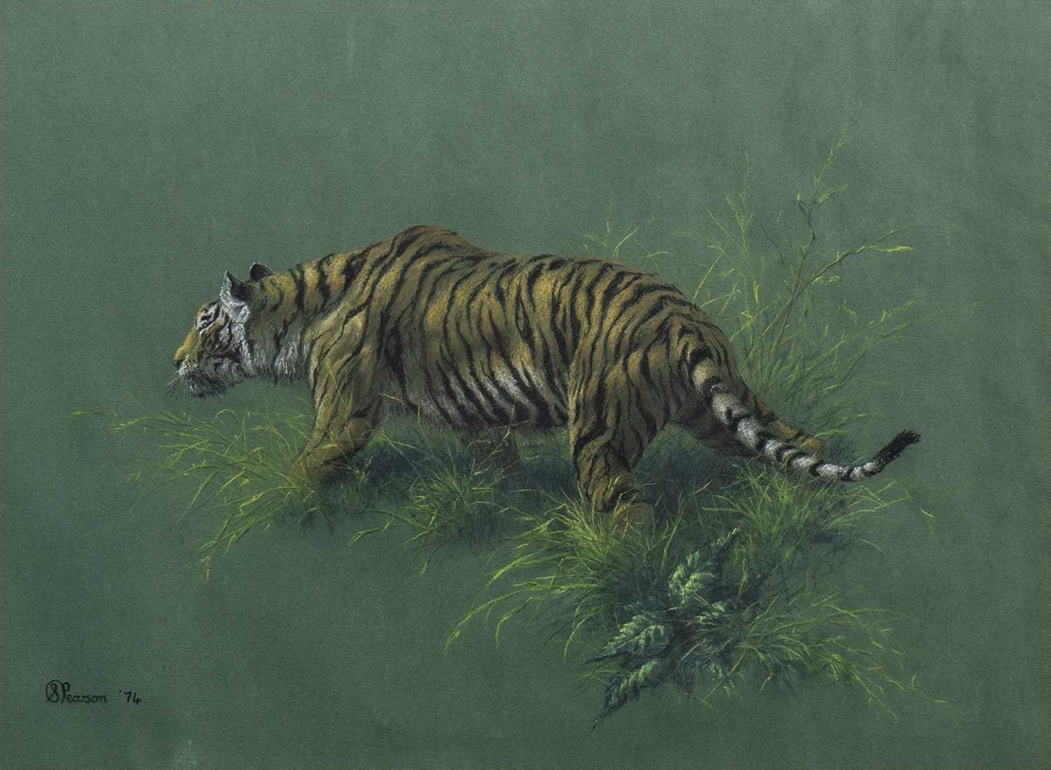 Stephen Pearson | TIGER | MutualArt