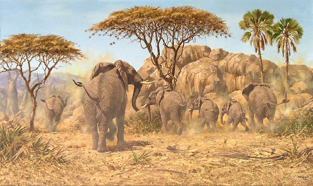 Michael Ghaui | Elephant | MutualArt