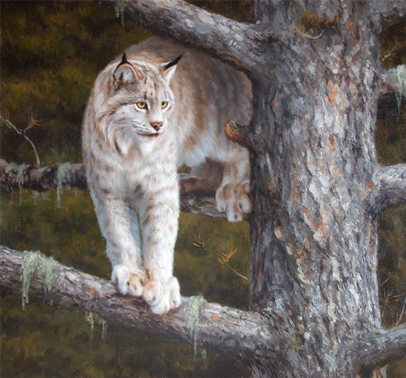 Kyle Sims | The Perch | MutualArt