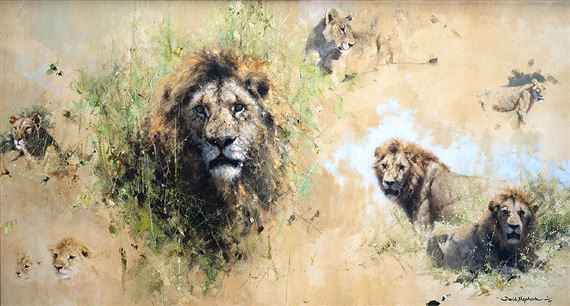 David Shepherd | Lion Sketches (1987) | MutualArt