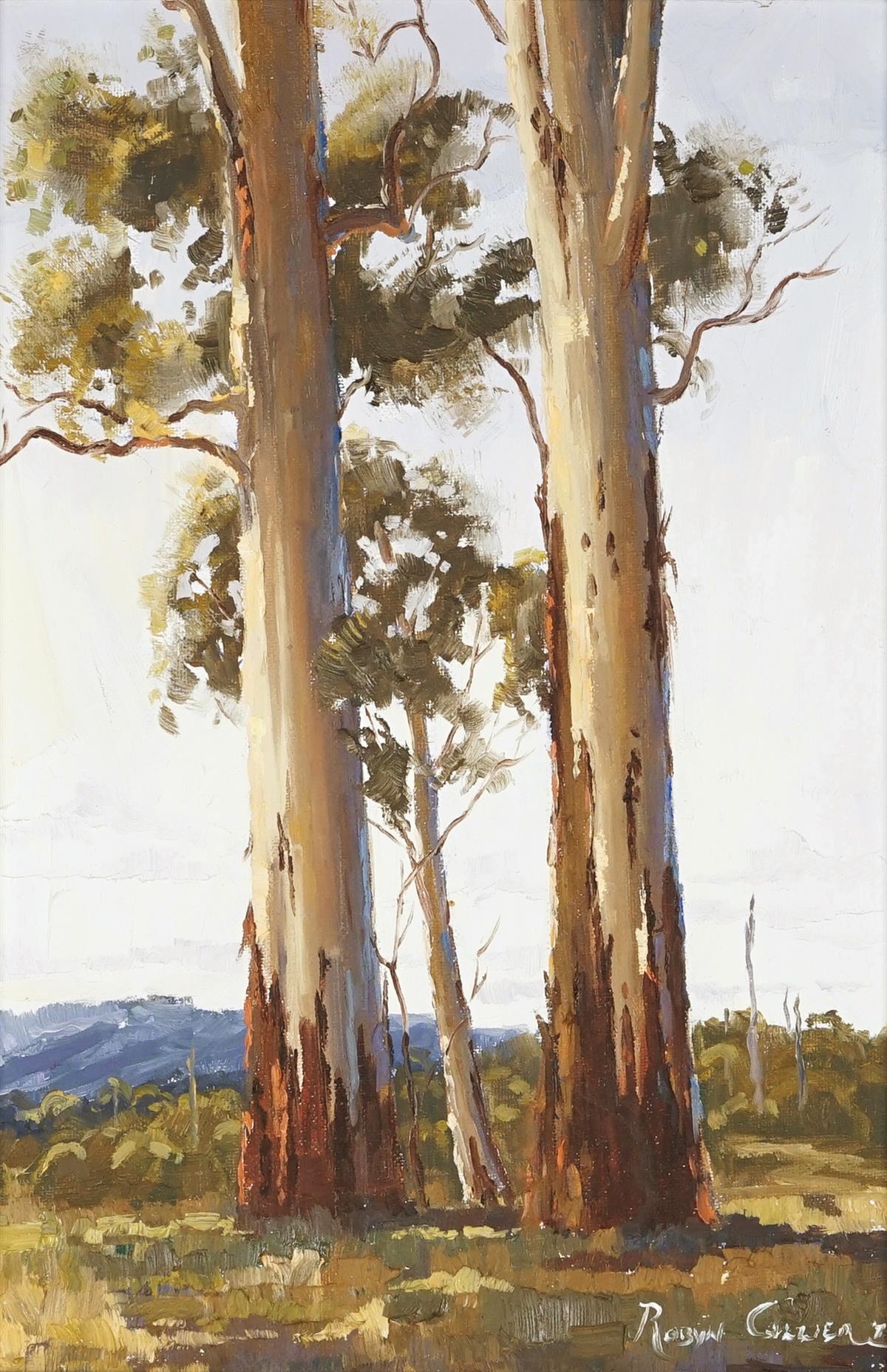 Robyn Collier | Twin Gums | MutualArt