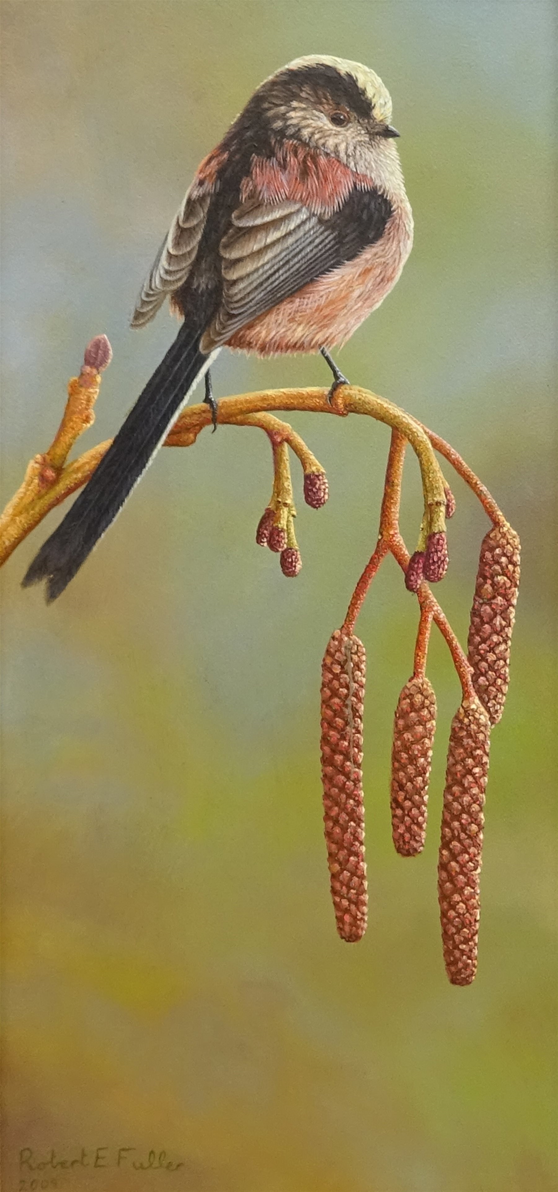 Robert E. Fuller | Long Tailed Tit on Catkin II (2009) | MutualArt