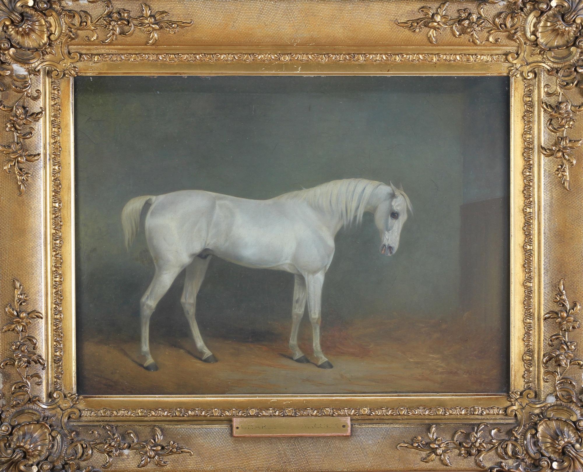 Charles Hancock | Blue Bonnet (1842) | MutualArt