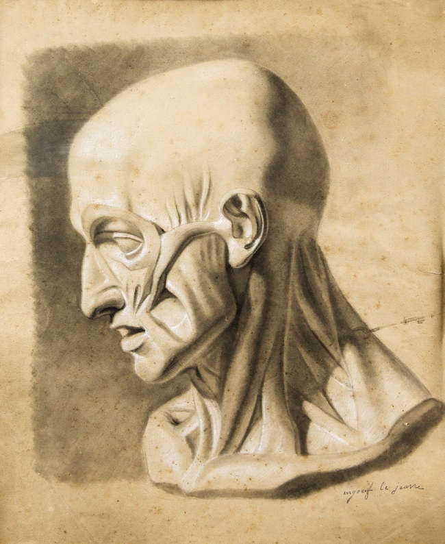 François Robert | Ecorche study | MutualArt