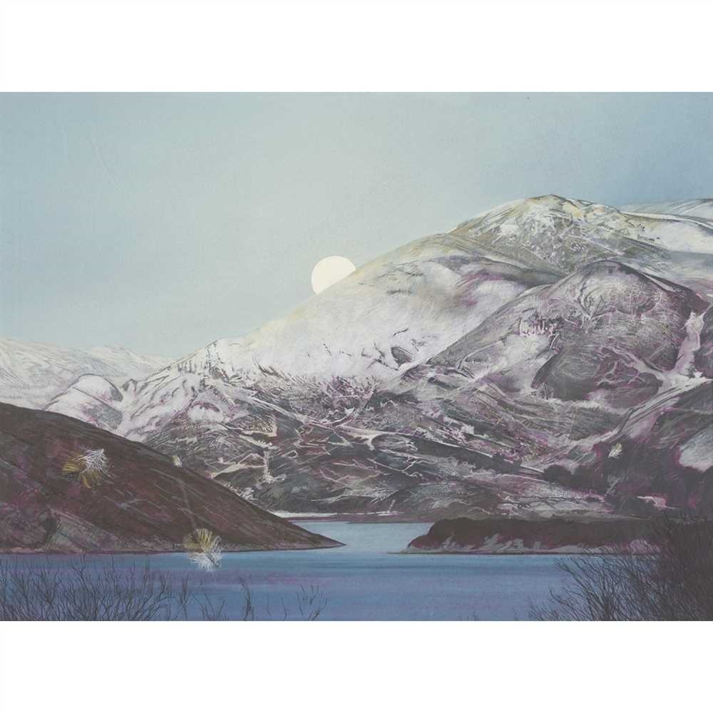 Rob Fairley | DEATH OF A REDWING | MutualArt