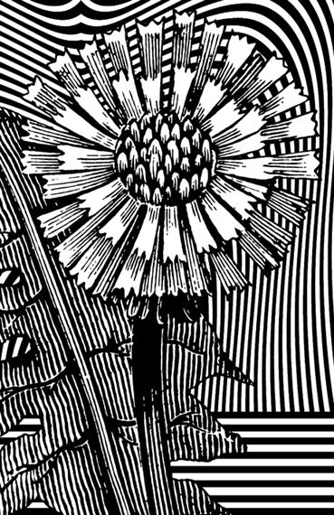 Paul Morrison: Dandelion | Exhibitions | MutualArt