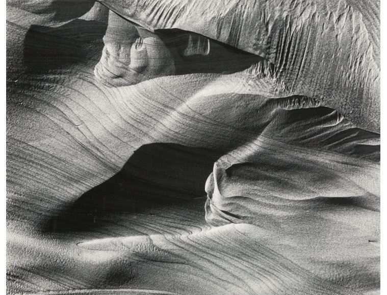 Brett Weston | Plant from Baja California; Baja California Portfolio ...