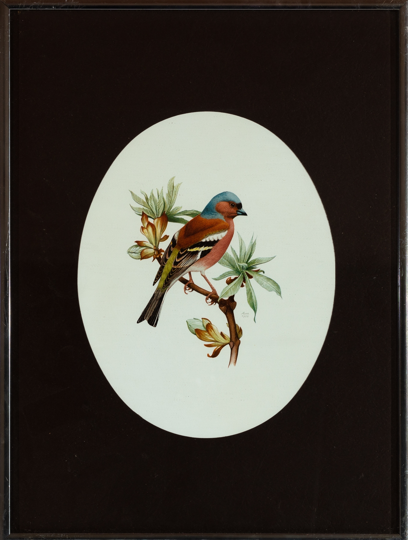 John Murr | Bird 1958 (1958) | MutualArt