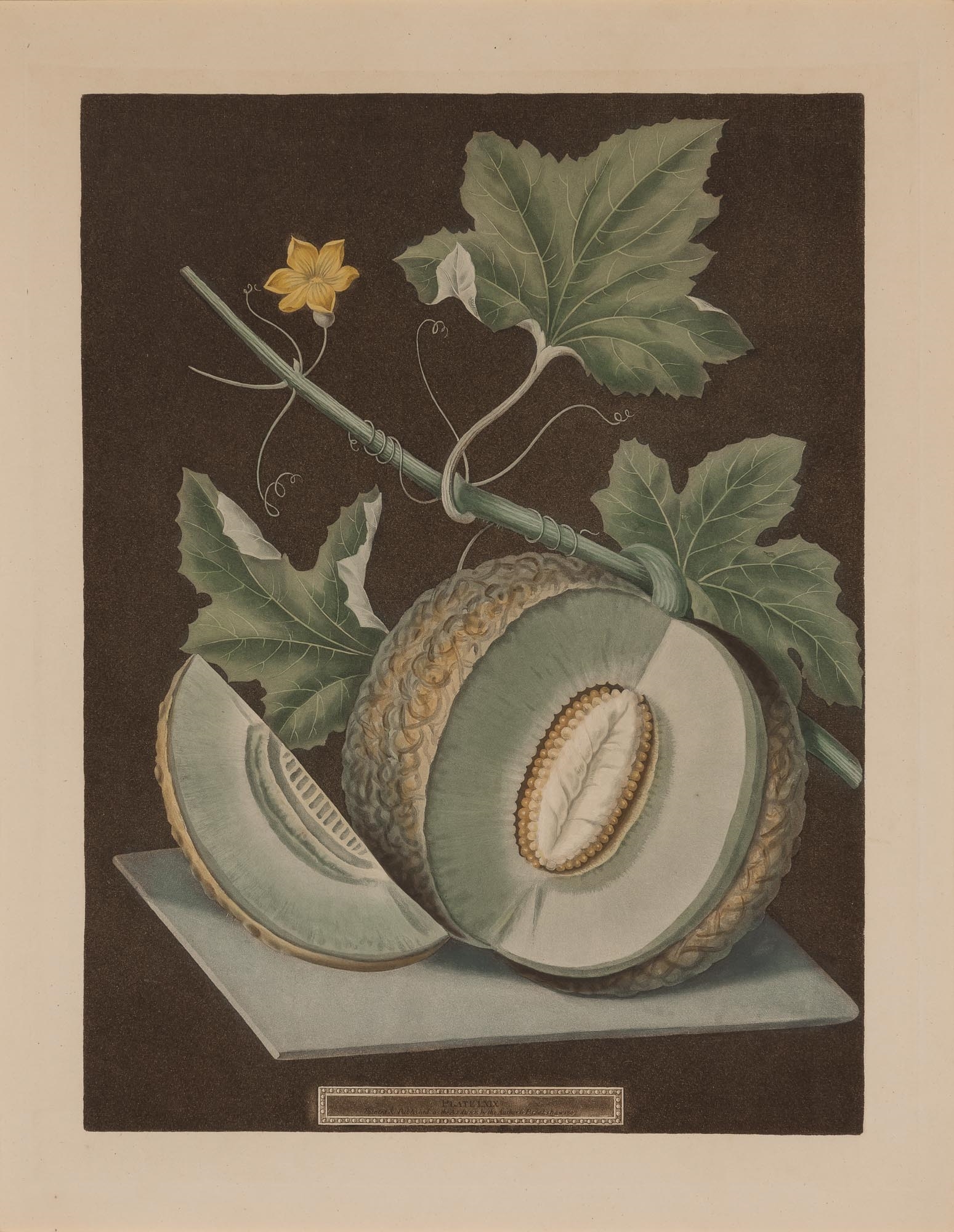 George Brookshaw | Pomona Britannica | MutualArt