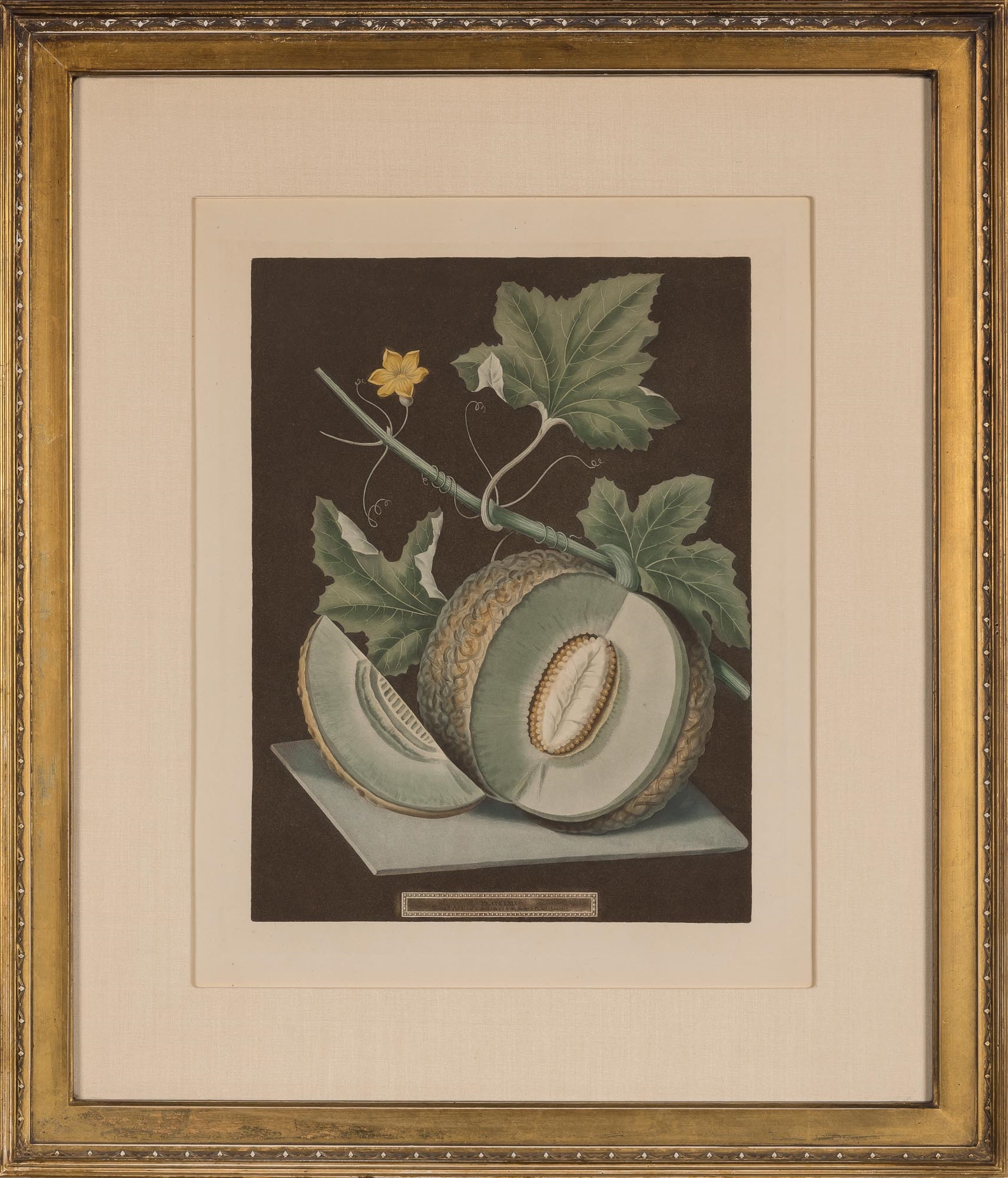 George Brookshaw | Pomona Britannica | MutualArt