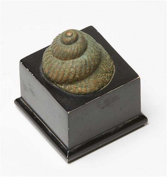 Terry Stringer | Untitled – Shell | MutualArt