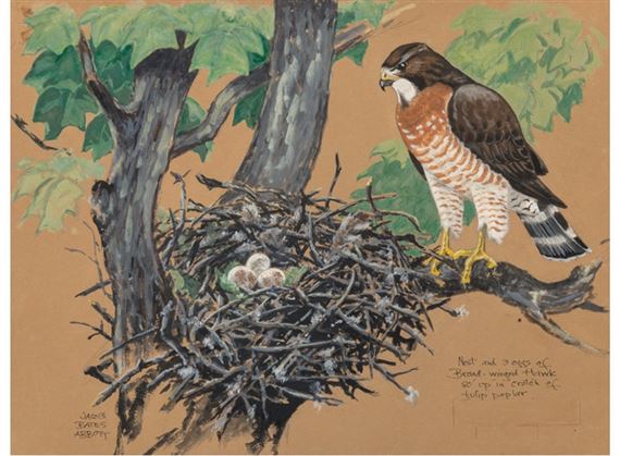 Jacob Bates Abbott | 11 Artworks | MutualArt