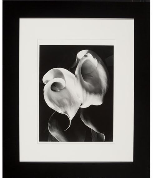 Imogen Cunningham | Two Callas (1929) | MutualArt