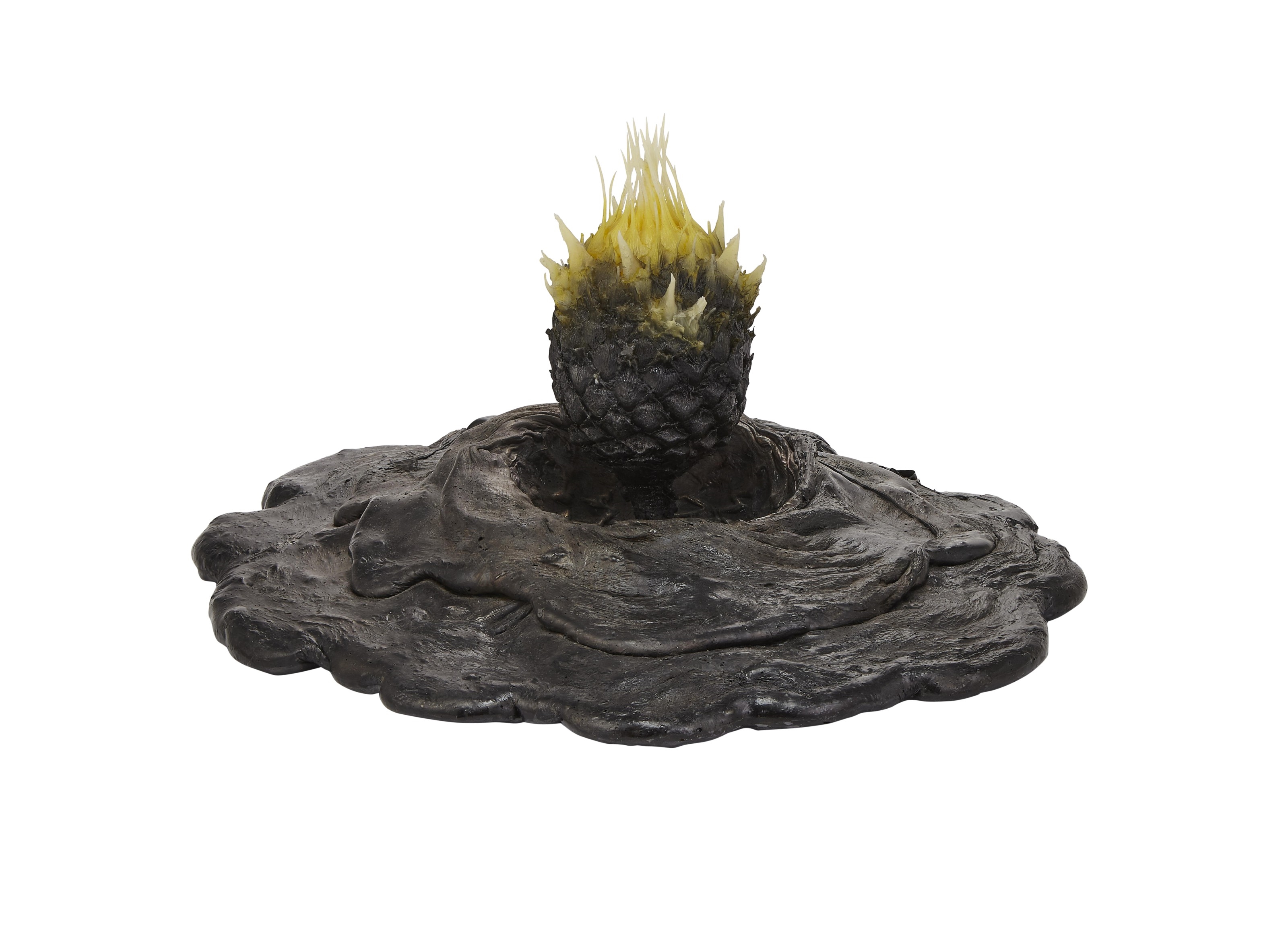 Keith Edmier | Cycas revoluta bulbil | MutualArt