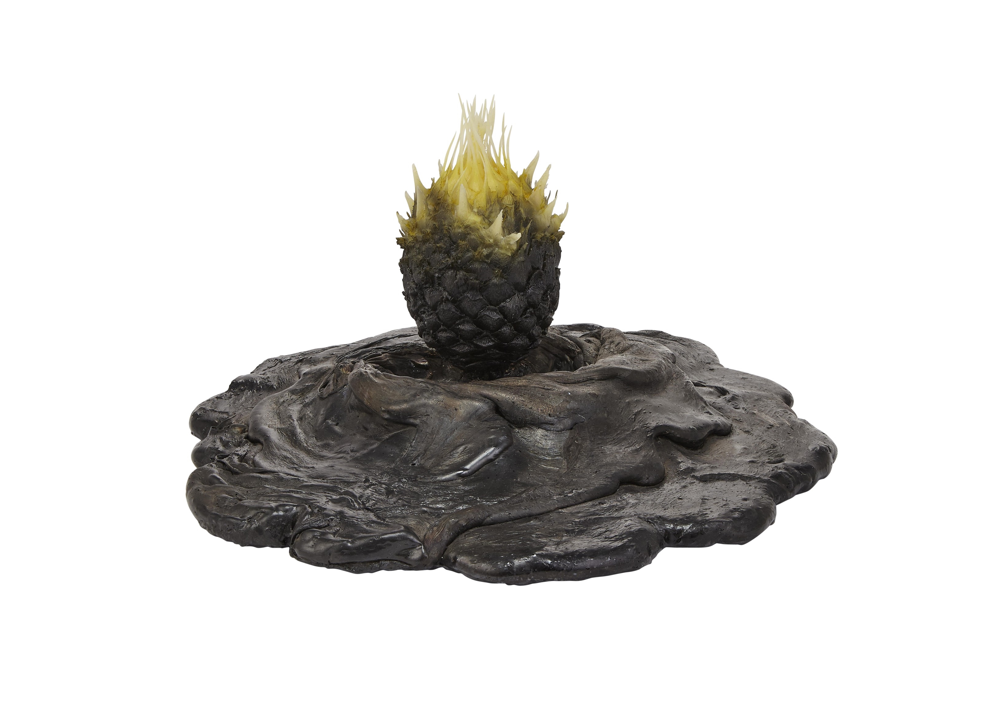 Keith Edmier | Cycas revoluta bulbil | MutualArt