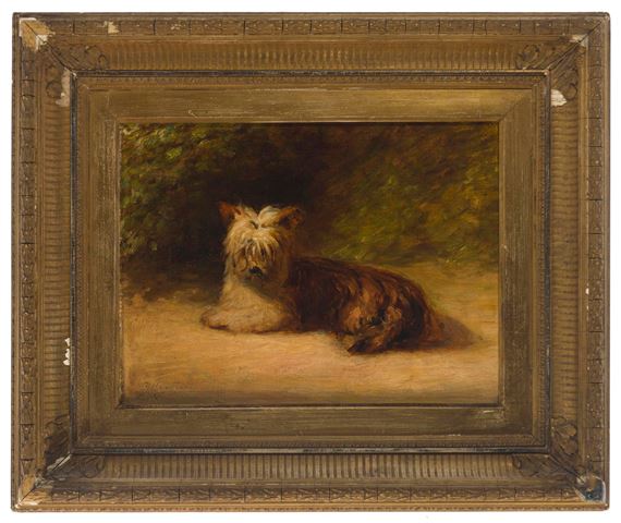 Alexander Morrison | Biography