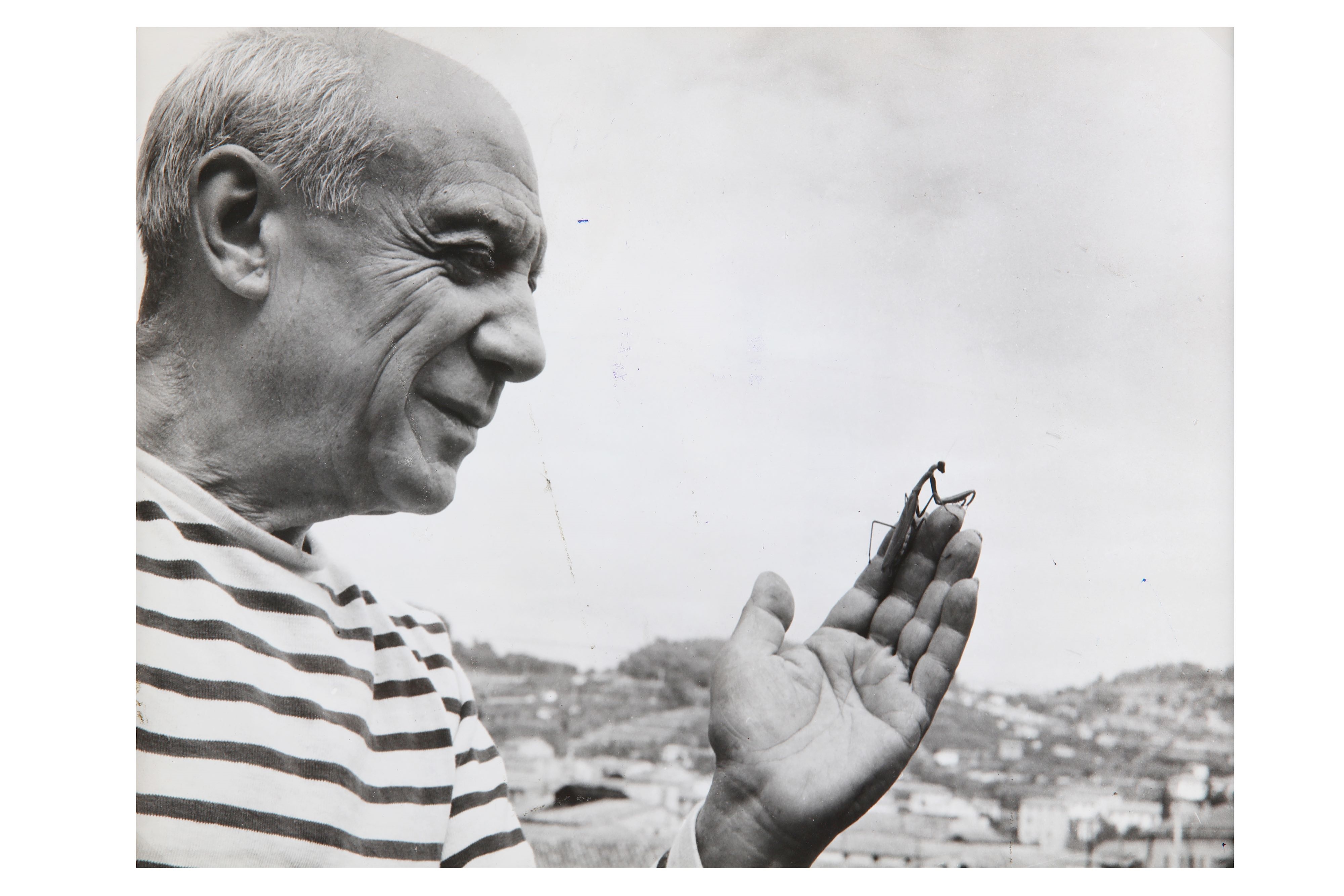 Robert Doisneau | PICASSO WITH A PRAYING MANTIS, vintage silver gelatin ...