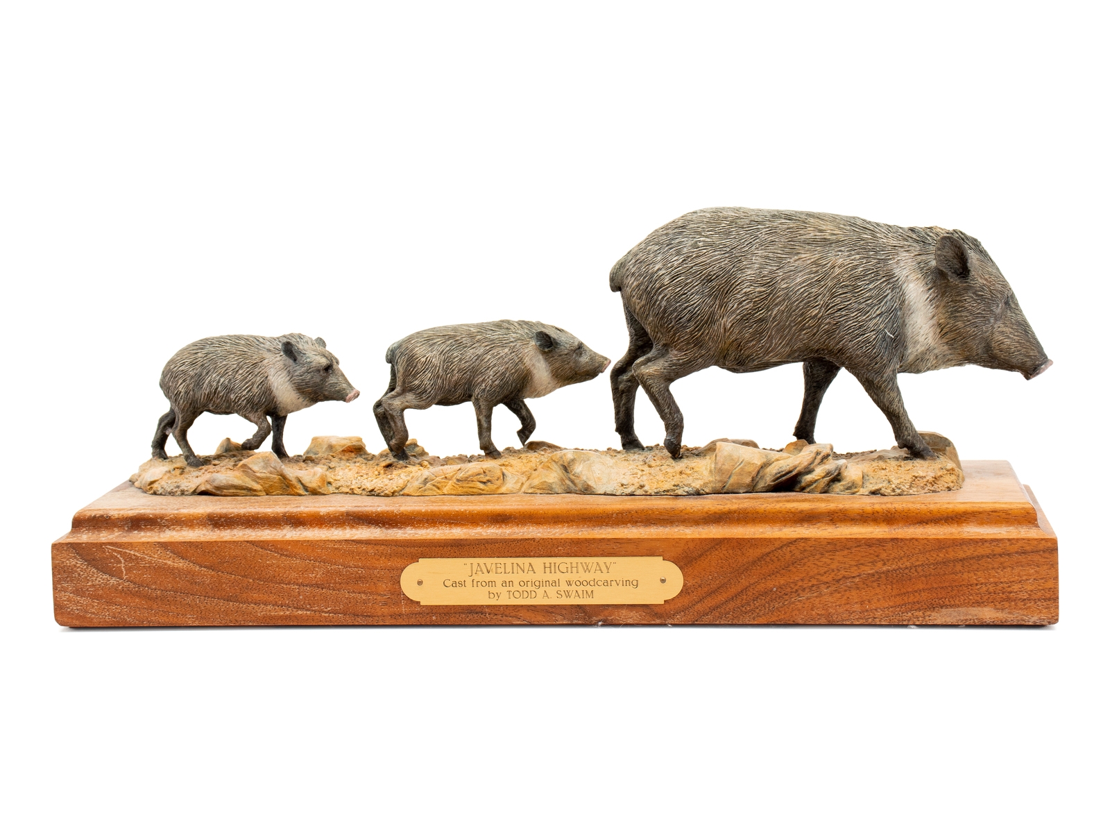Todd Swaim | Javelina Highway | MutualArt