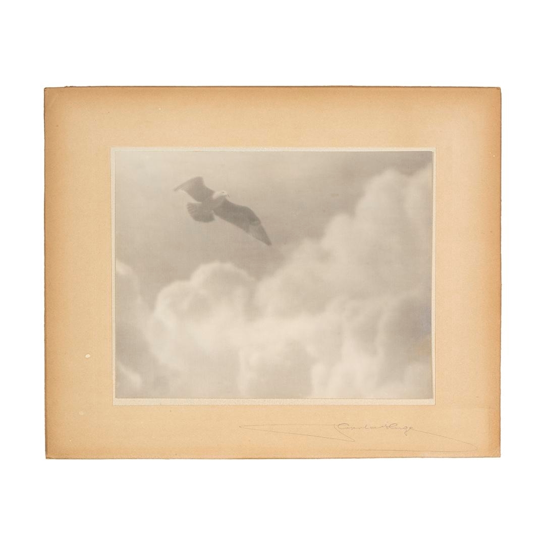 Leopold Hugo | Bird in Flight (1920s) | MutualArt