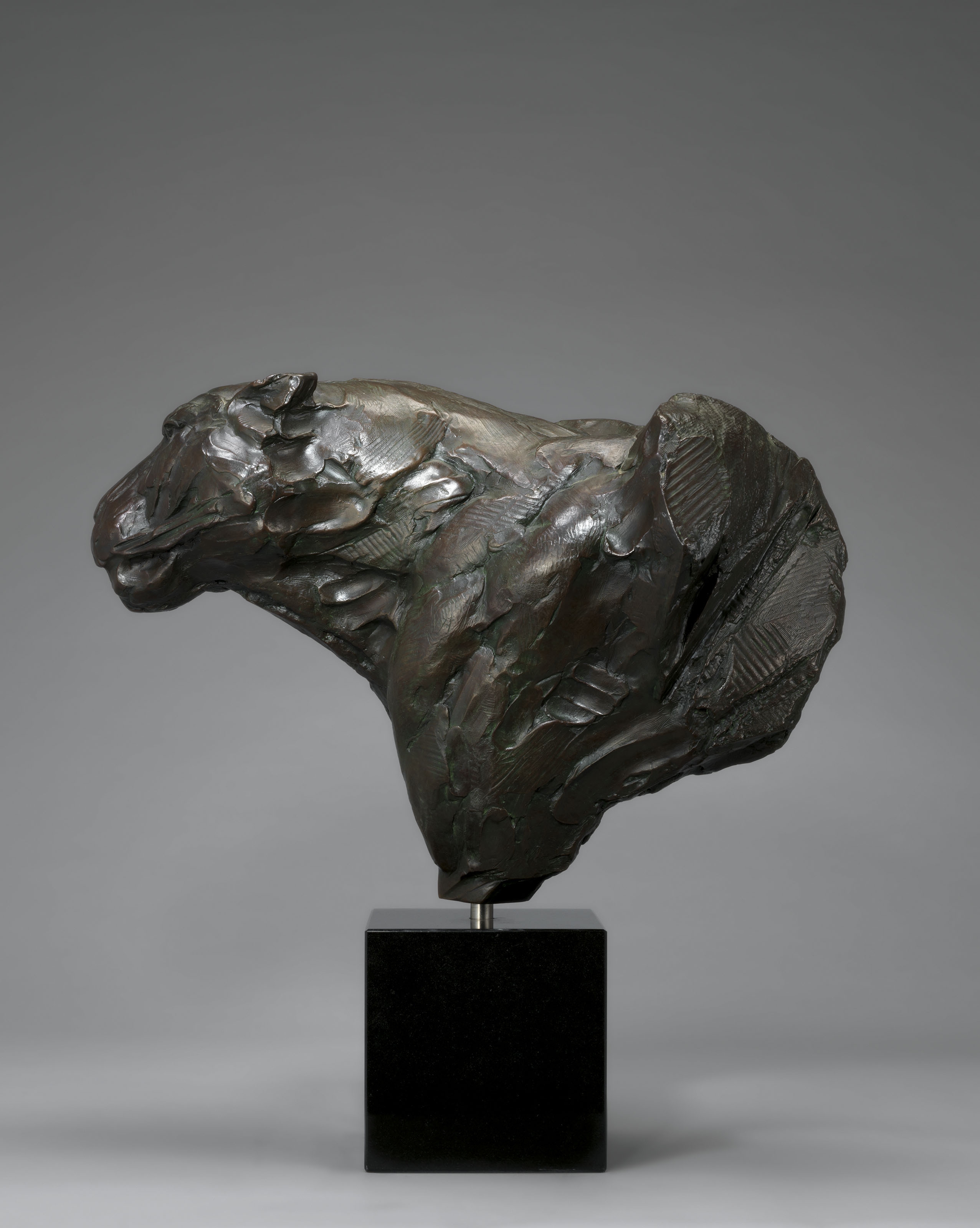 Dylan Lewis | Leopard Bust III | MutualArt