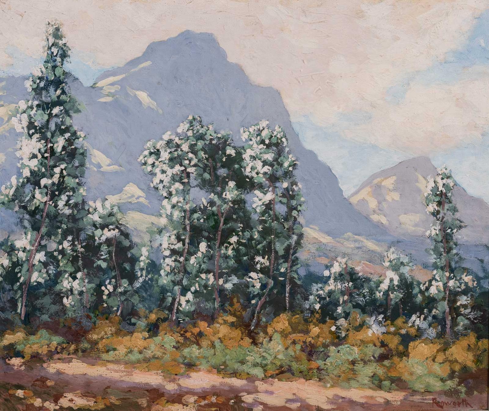 Edward Roworth | CAPE MOUNTAIN LANDSCAPE | MutualArt