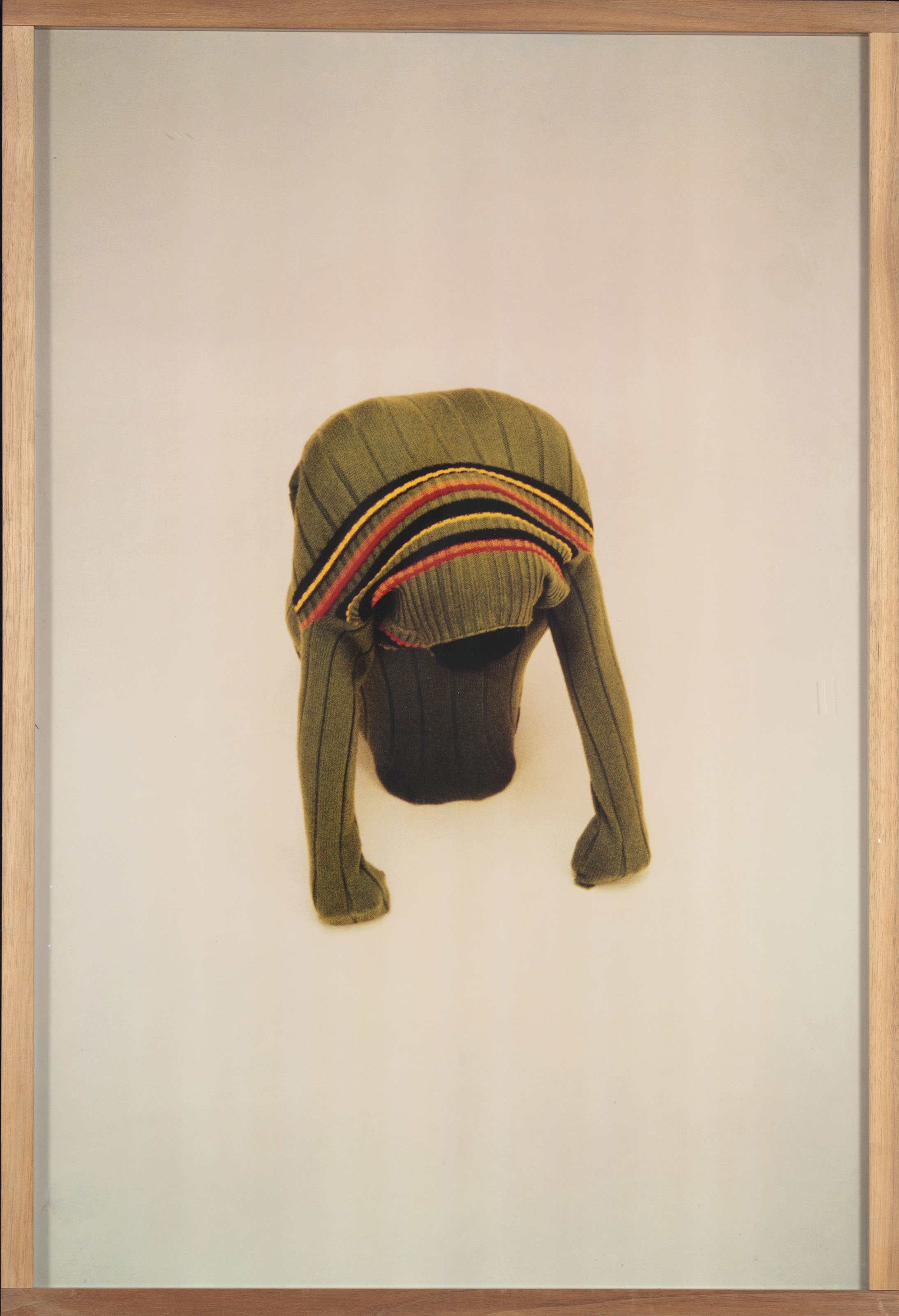 Erwin Wurm | Untitled (from the series Palmers) (1997 - 1998) | MutualArt