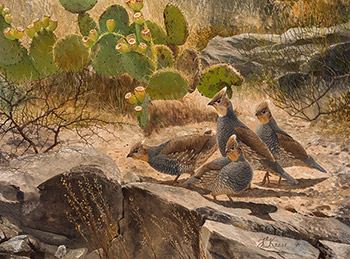 Travis Keese | Blue Quail | MutualArt