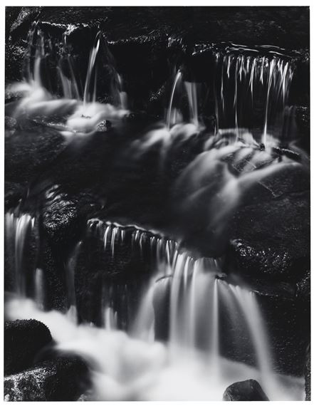 Ansel Adams | Fern Spring, Yosemite Valley (1961) | MutualArt