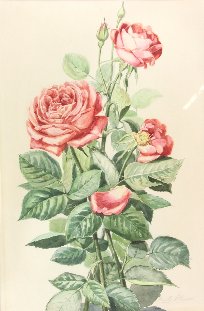 Emily Harris McGary Selinger | Still Life of Roses | MutualArt