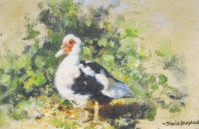 David Shepherd | A Muscovy Duck | MutualArt