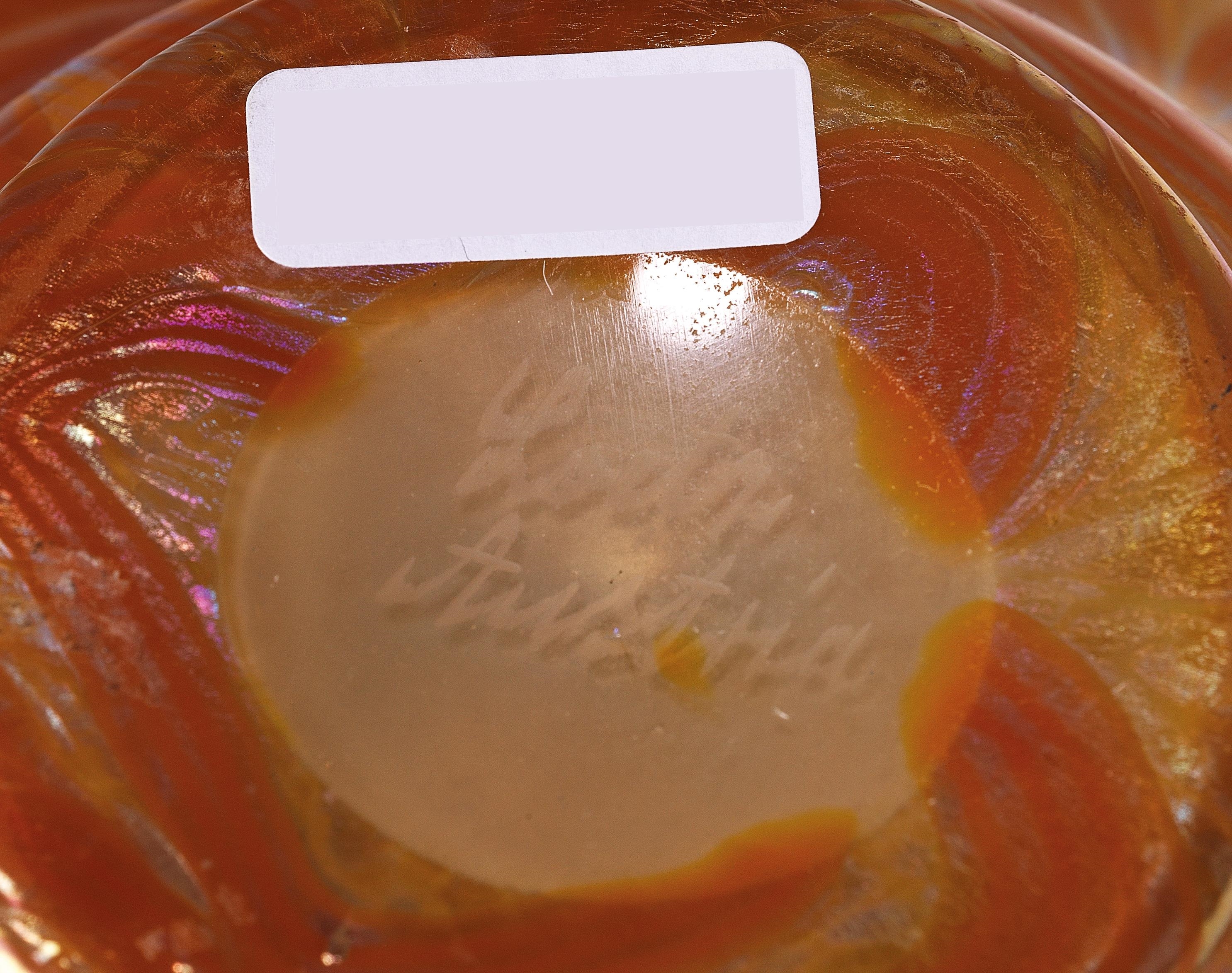 Wilhelm Thomasch | “Faszination” | MutualArt