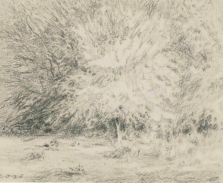 Carl Adolf Erwin Ossman | Baum Skizze (Tree Sketch) (26) | MutualArt