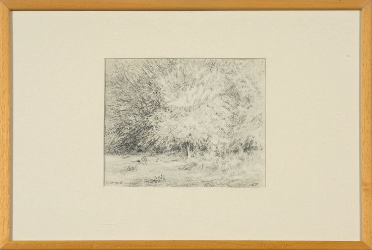 Carl Adolf Erwin Ossman | Baum Skizze (Tree Sketch) (26) | MutualArt