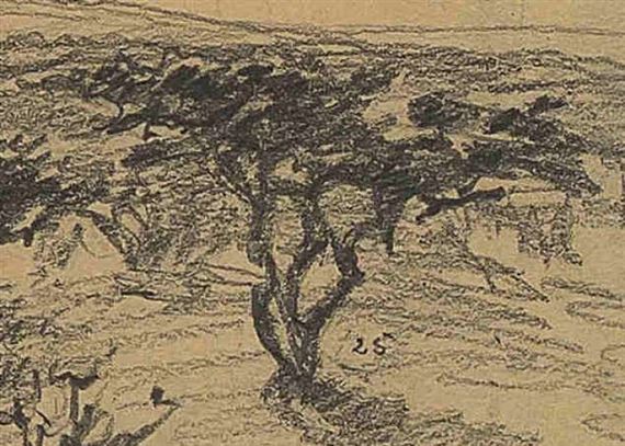 Carl Adolf Erwin Ossman | Extensive Landscape with Acacia Trees (28 ...