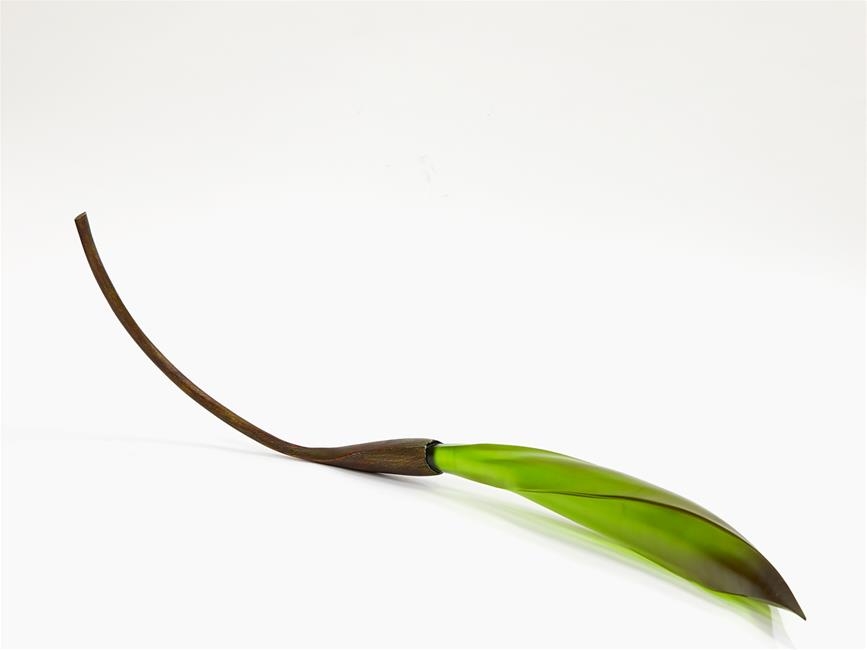 Ann Robinson | TWISTED FLAX POD | MutualArt