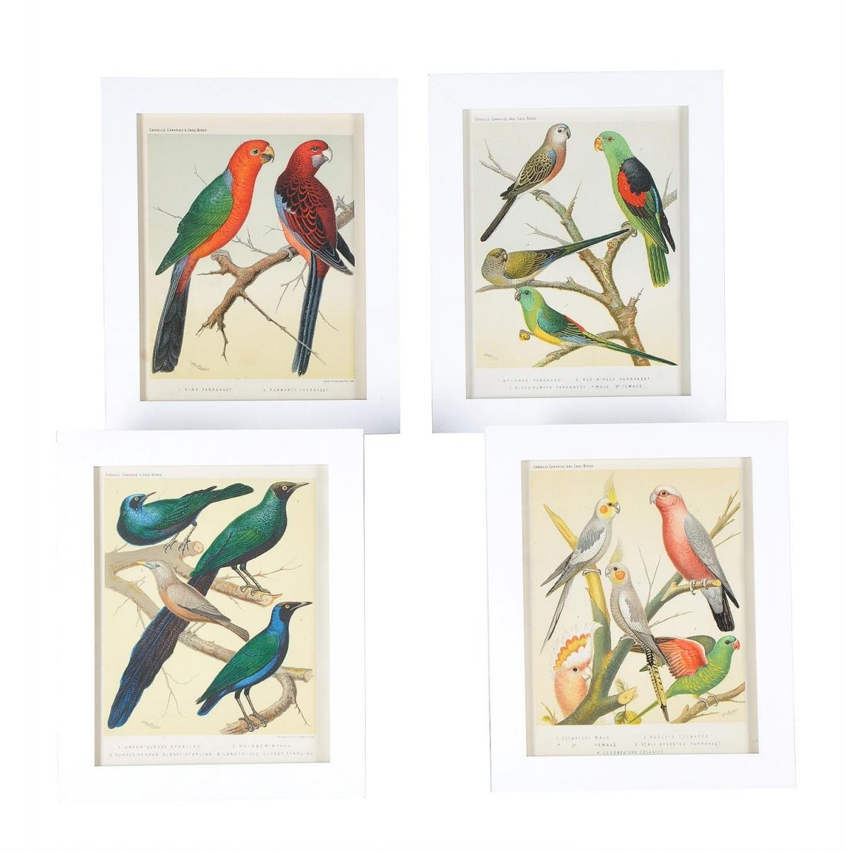 William Rutledge | A set of twelve colour prints from Cassell's ...